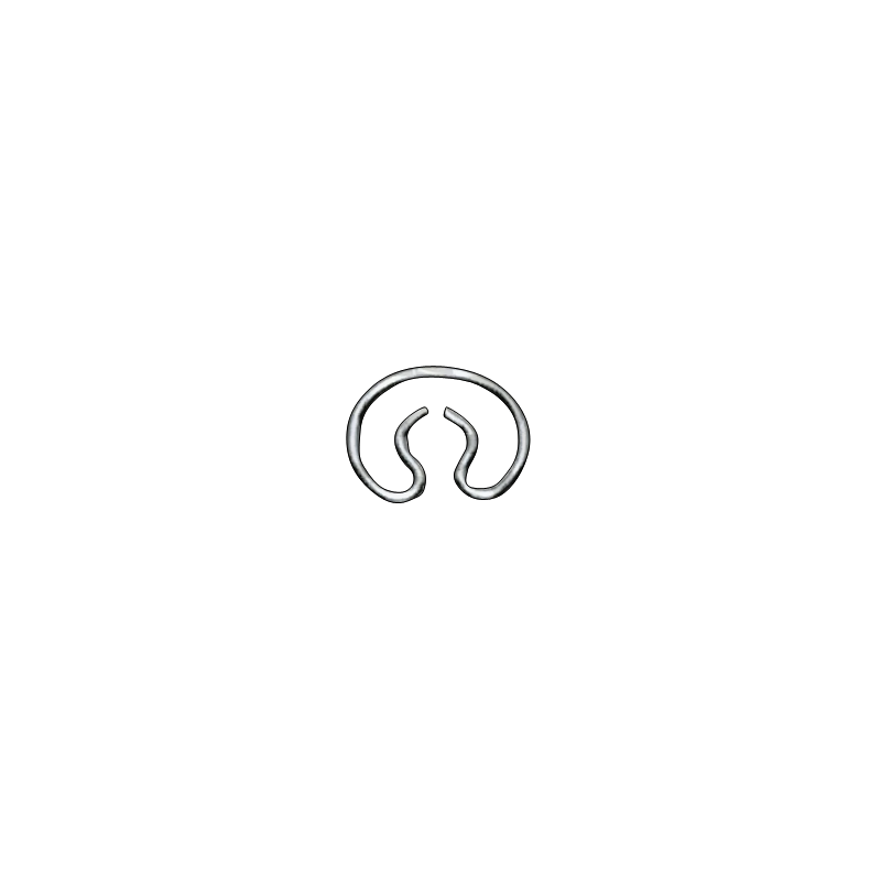 Chassis Safety Circlip | PointKarting.com – Point Karting